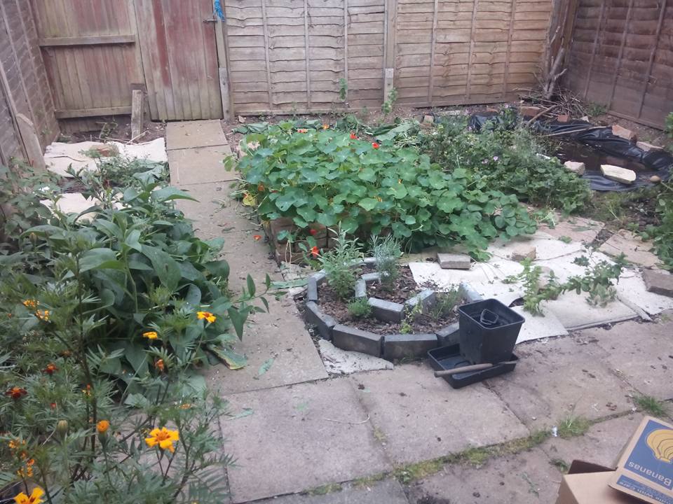 Creating a Permaculture Garden: Shaz talks about turning his garden ...